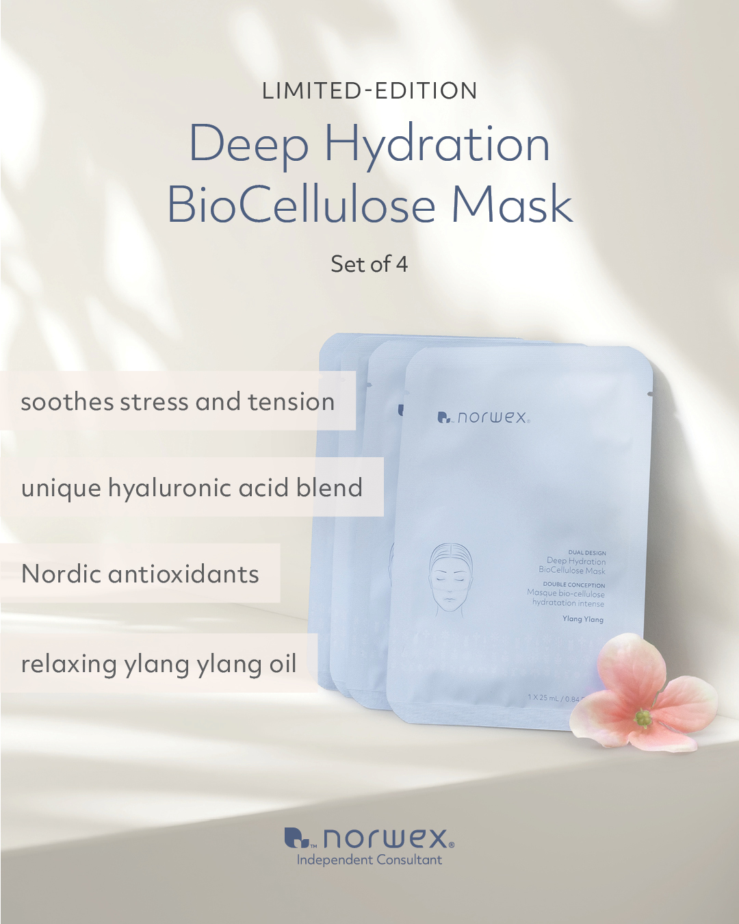 Norwex's Spring Collection Has Arrived!