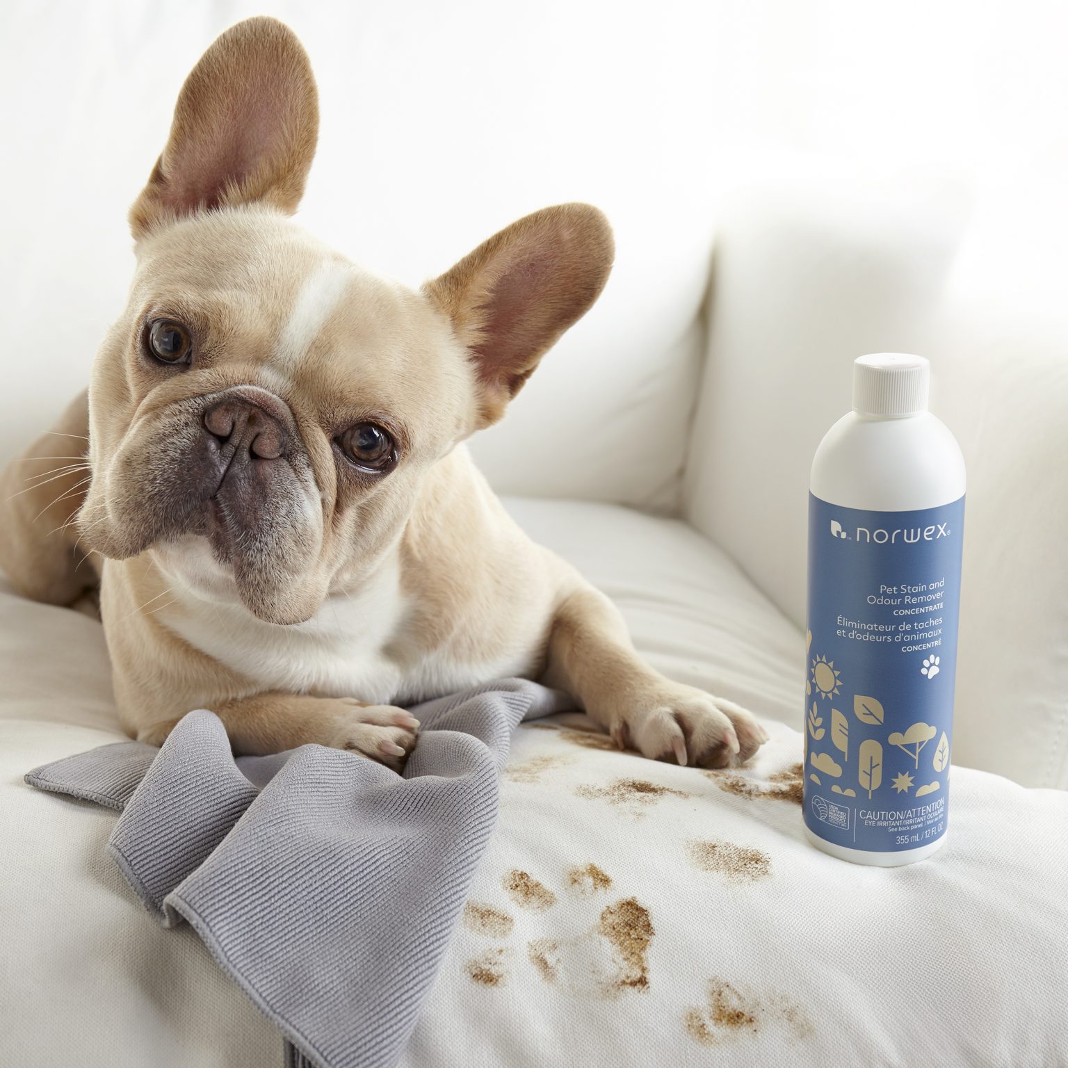 A Review of the Norwex Pet Stain Odour Remover Concentrate!